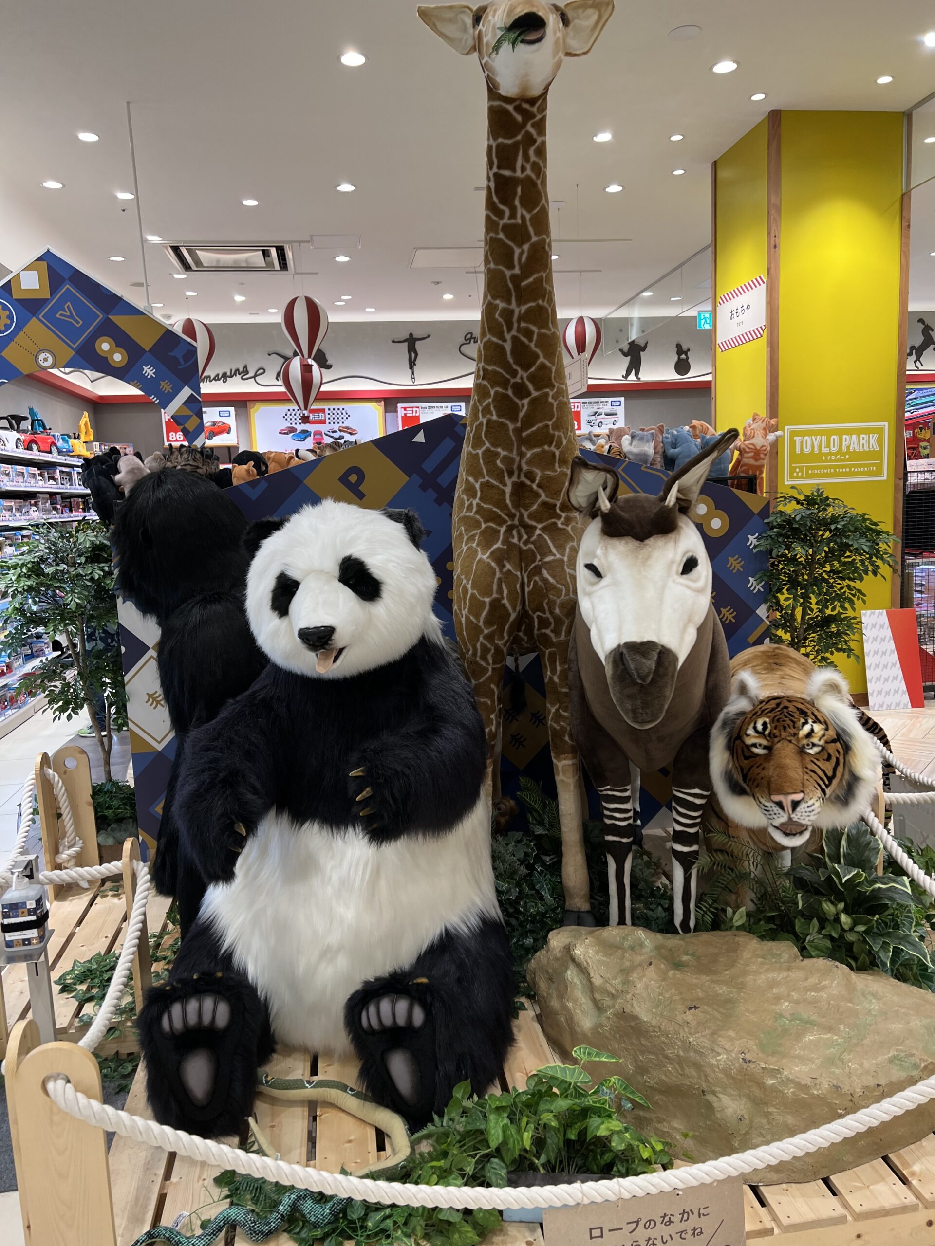 IMG_4378 - 日吉ブログ（ひよブロ横浜）